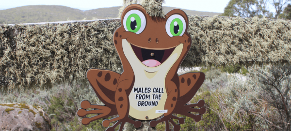 Activities – Mt Baw Baw