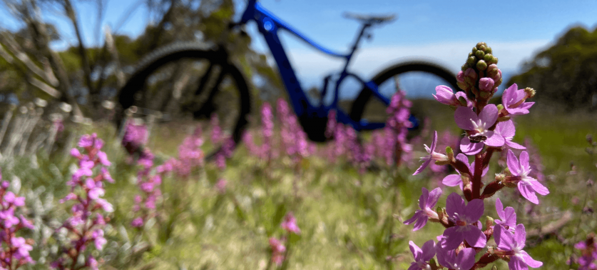 Mt. Baw Baw – Make tracks for Australia's best value ski resort