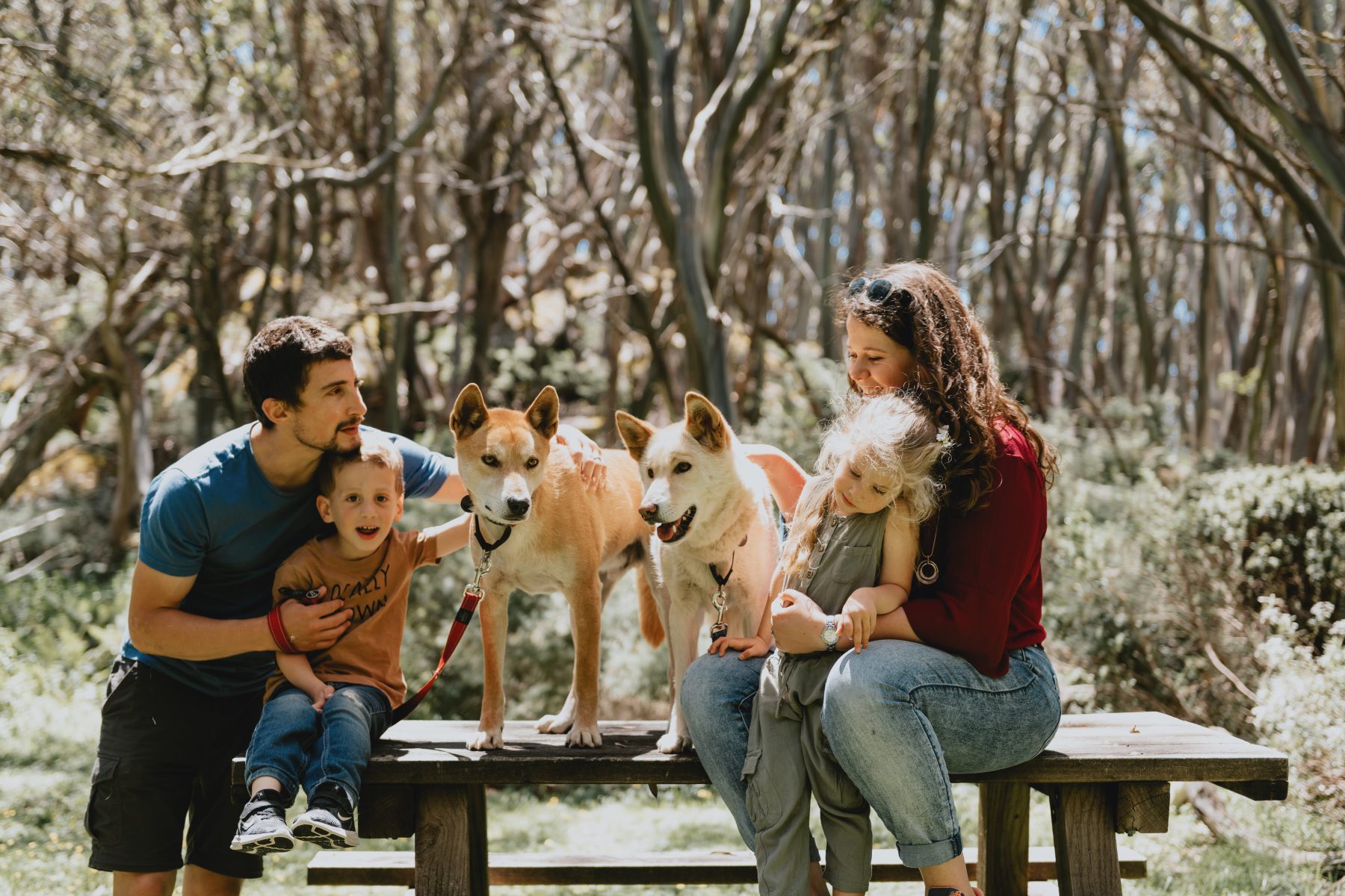 Activities – Mt Baw Baw