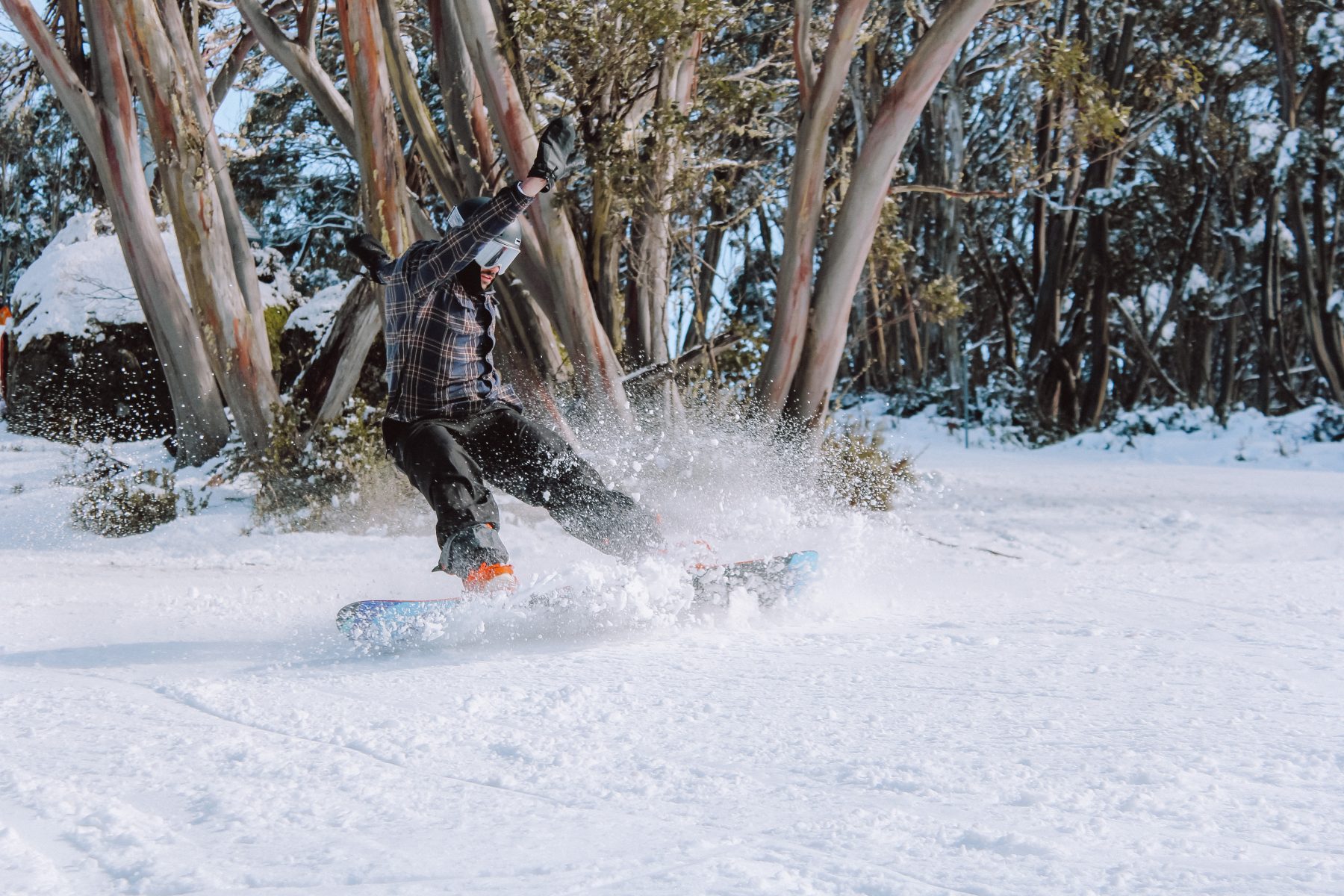 About Mt Baw Baw – Mt Baw Baw