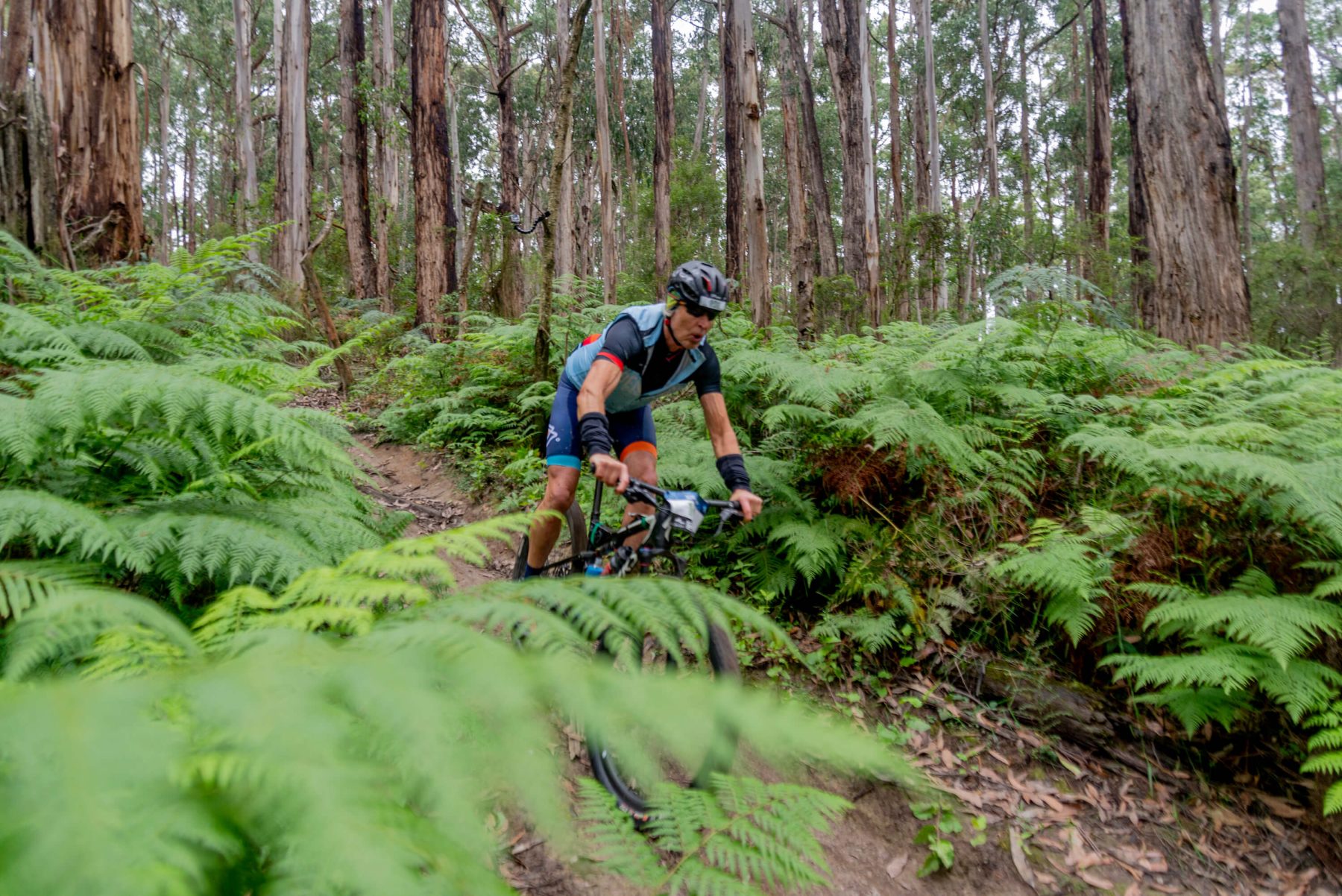 Facilities & Services – Mt Baw Baw