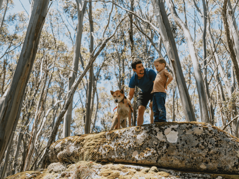 Mt Baw Baw – Melbourne's closest ski and snow resort