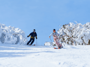 Guide to Melbourne's closest snow, ski and board resorts – Mt Baw Baw